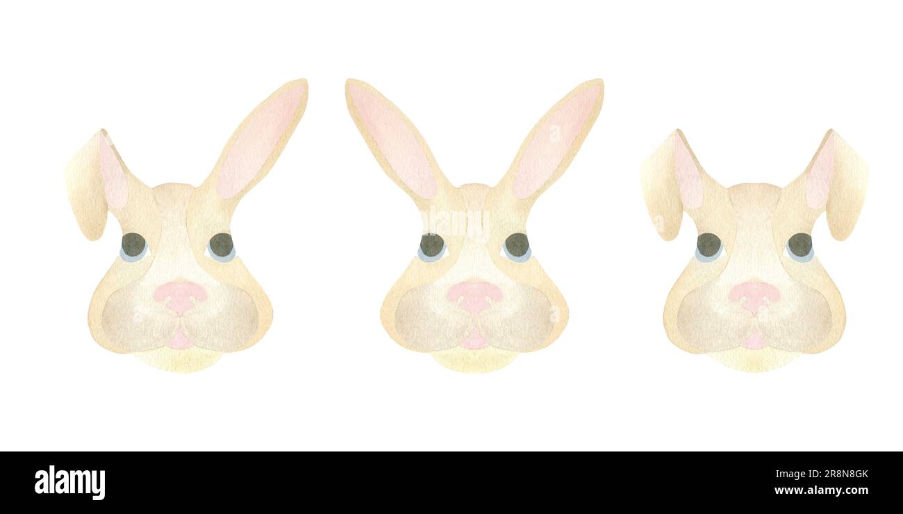 Three cute faces of a brown rabbit with blue eyes and different ears ...