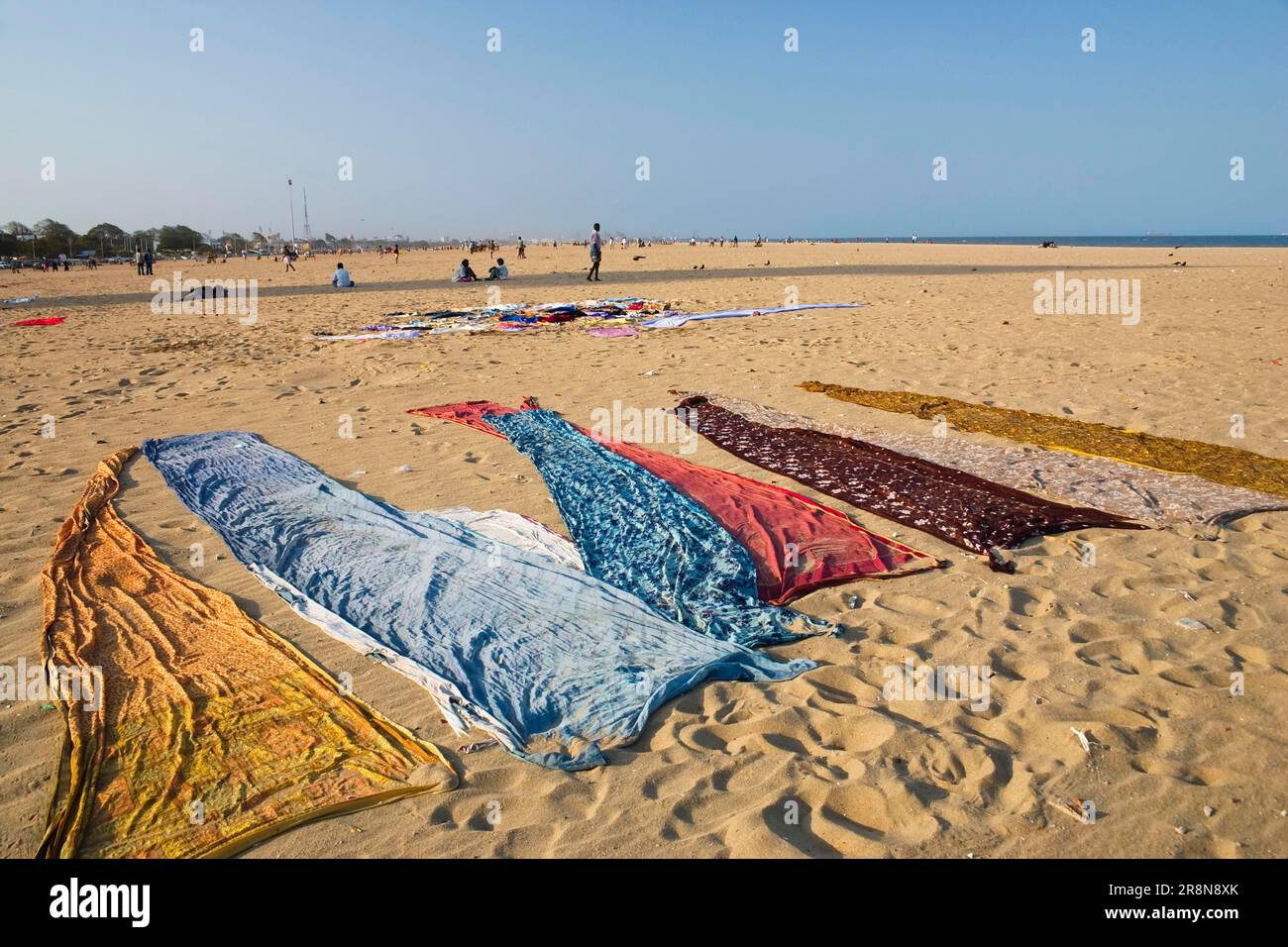 Laundry lying to dry on the beach, Marina Beach, Chennai, Tamil Nadu ...