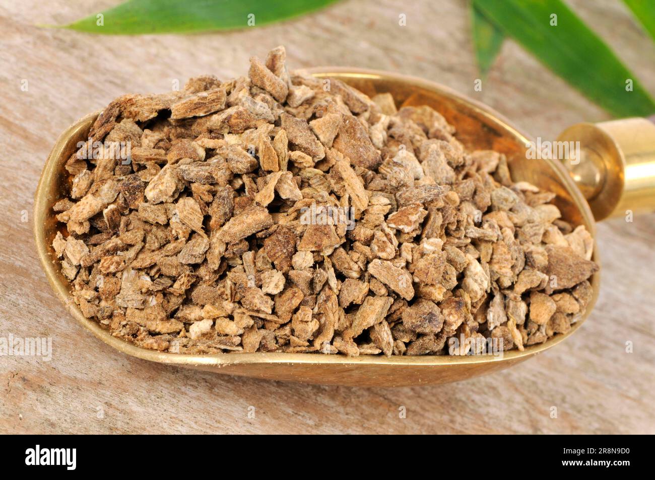 Cup Himalayan embossed root tea (Aucklandiae Radix), Mu Xiang Stock ...