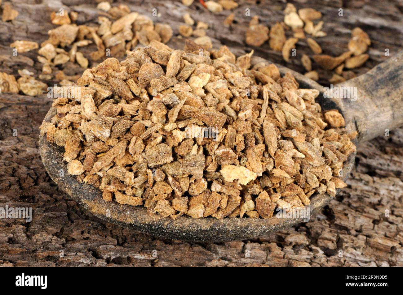Cup Himalayan embossed root tea (Aucklandiae Radix), Mu Xiang Stock ...
