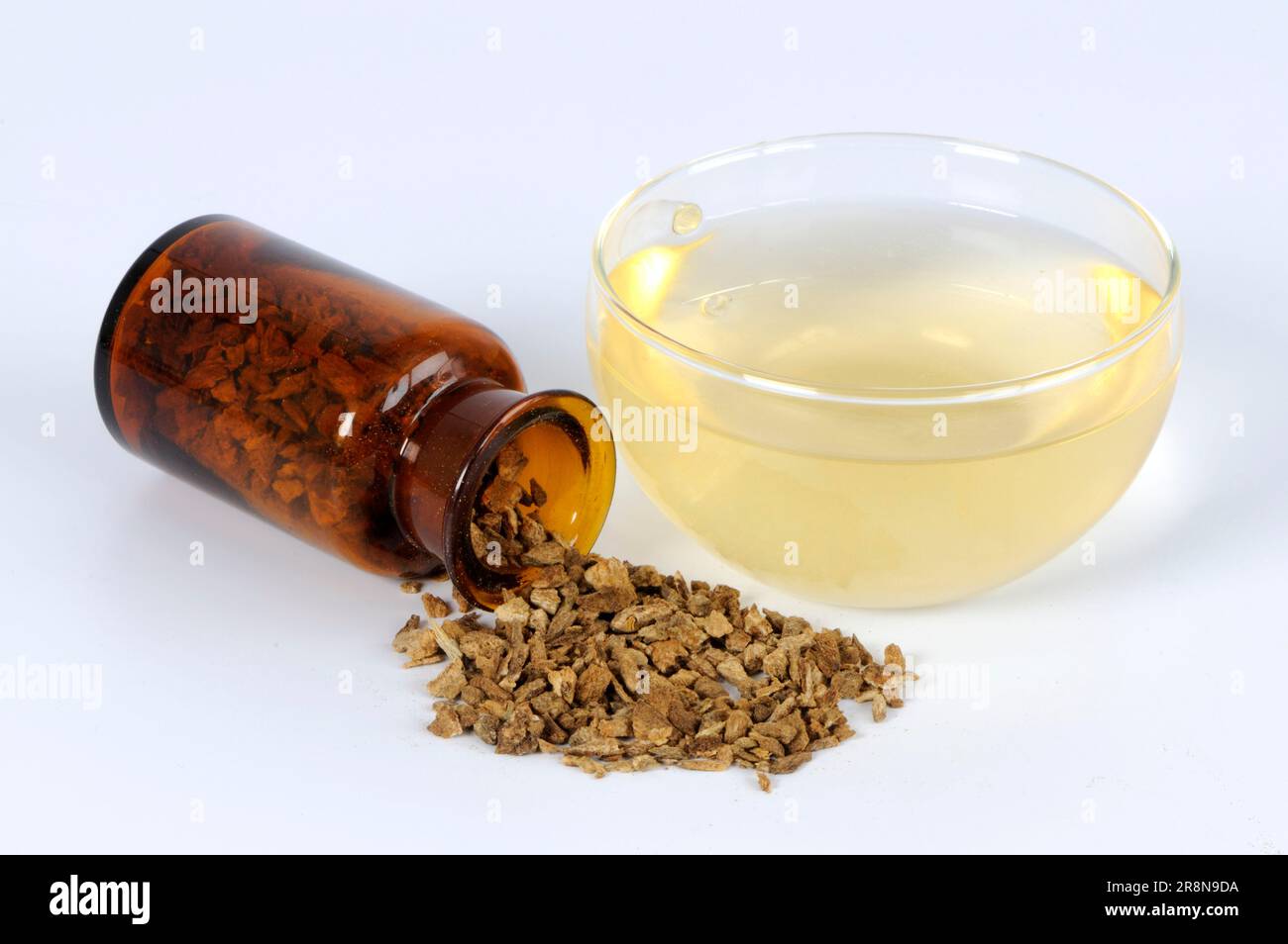 Cup of Himalayan Chardroot Tea (Aucklandiae Radix), Mu Xiang, Himalayan ...