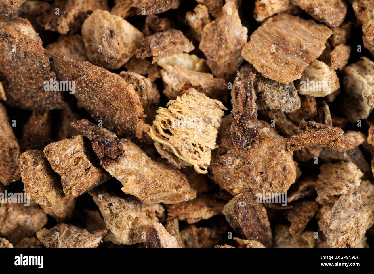 Himalayan crenel root (Aucklandiae Radix), Mu Xiang Stock Photo - Alamy