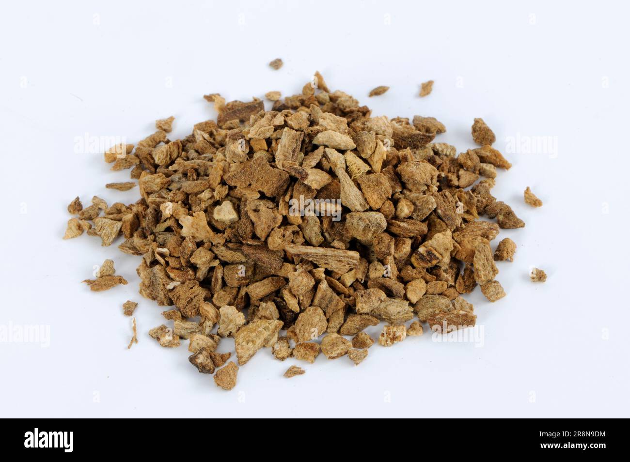 Himalayan embossed root (Aucklandiae Radix), Mu Xiang, cutout, object ...