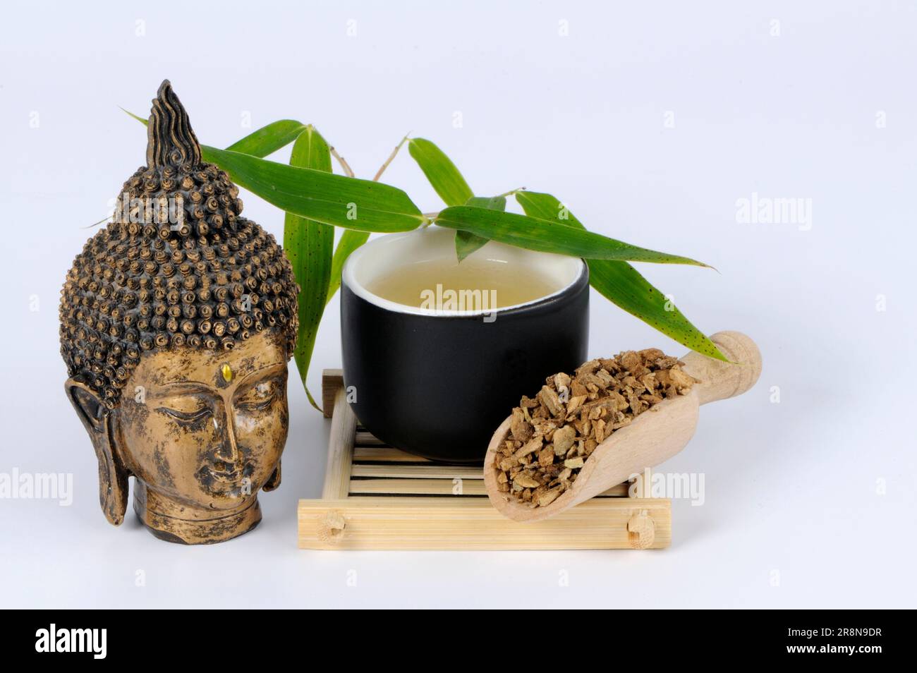 Cup of Himalayan Chardroot Tea (Aucklandiae Radix), Mu Xiang, Himalayan ...