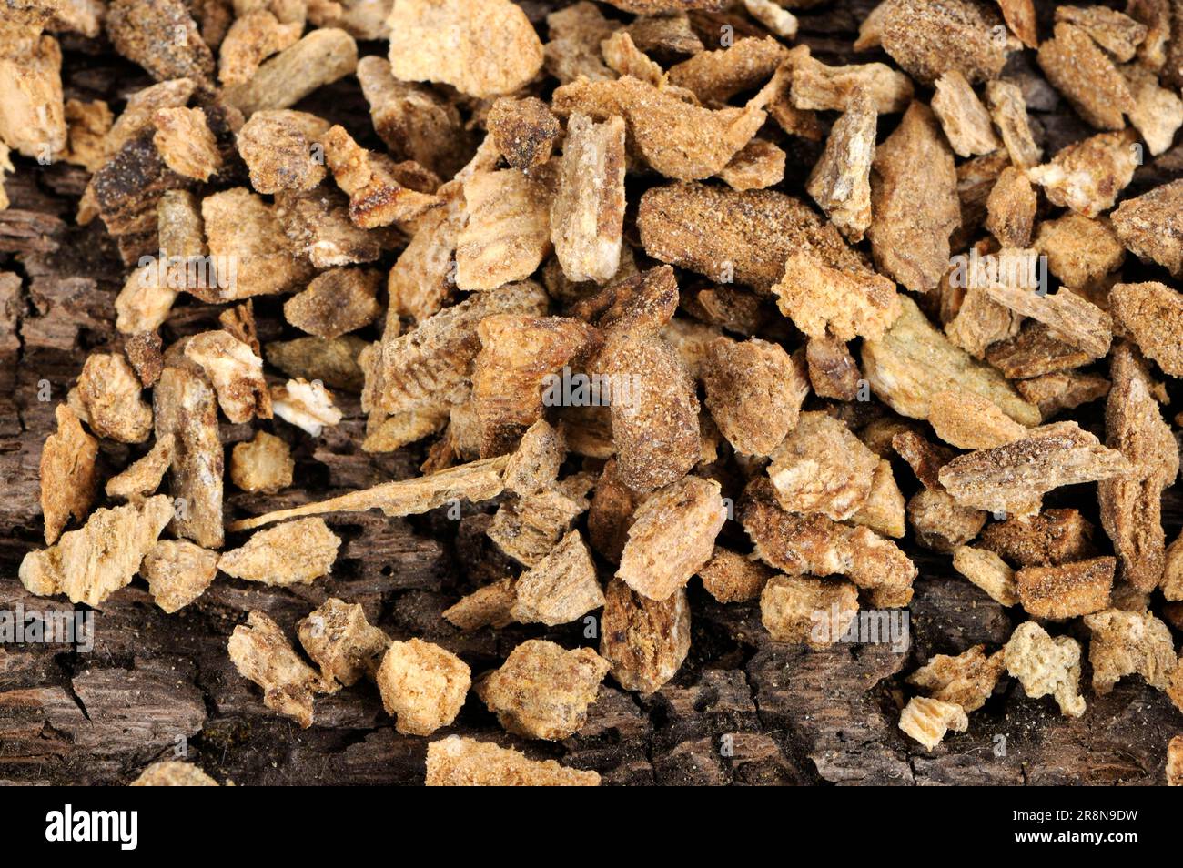 Cup Himalayan embossed root tea (Aucklandiae Radix), Mu Xiang Stock ...