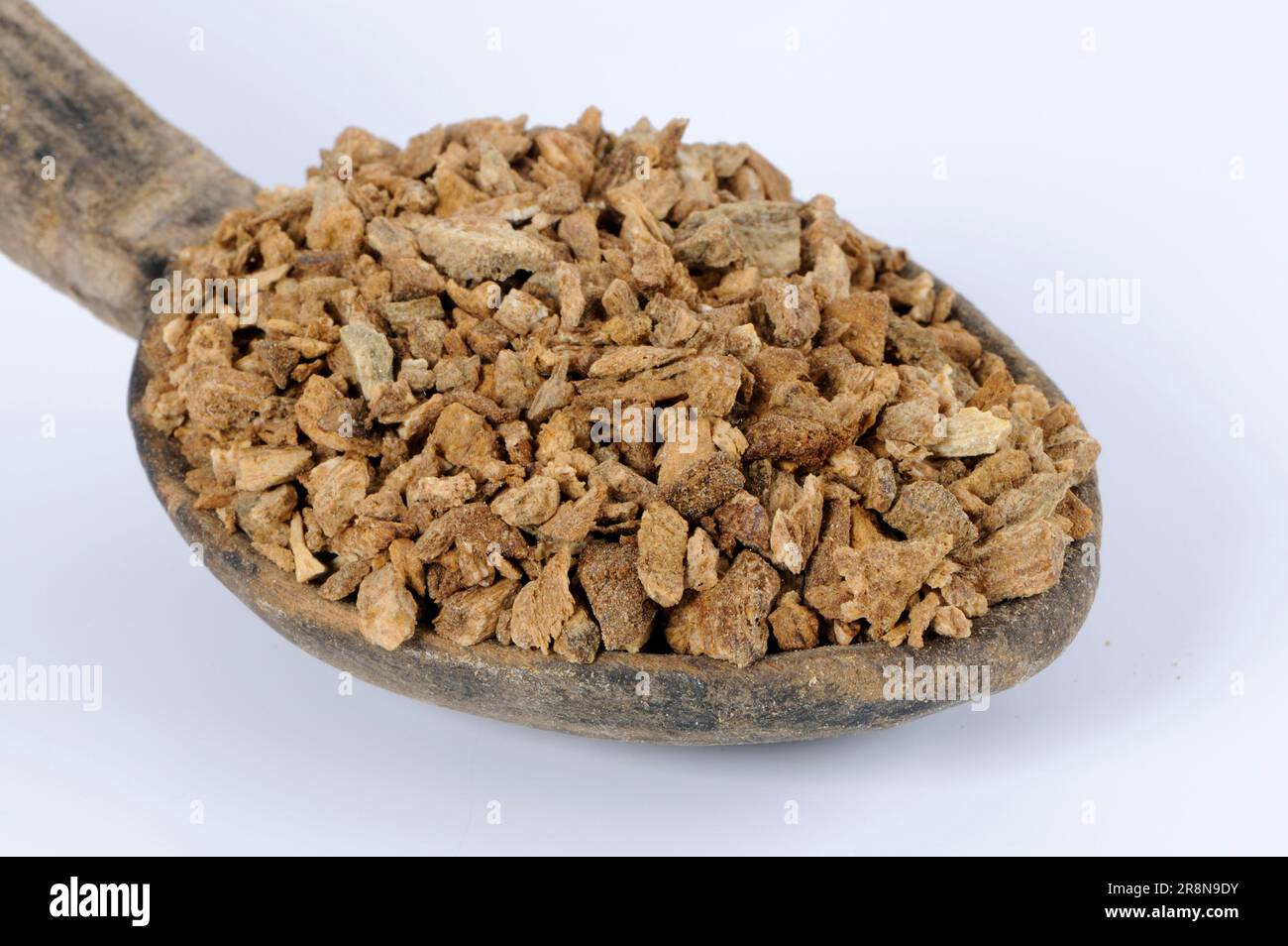 Himalayan crenel root (Aucklandiae Radix), Mu Xiang Stock Photo - Alamy