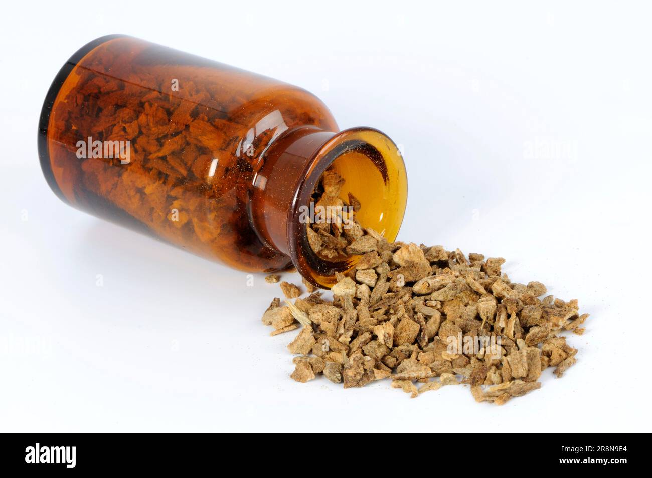 Himalayan embossed root (Aucklandiae Radix), Mu Xiang, cutout, object ...