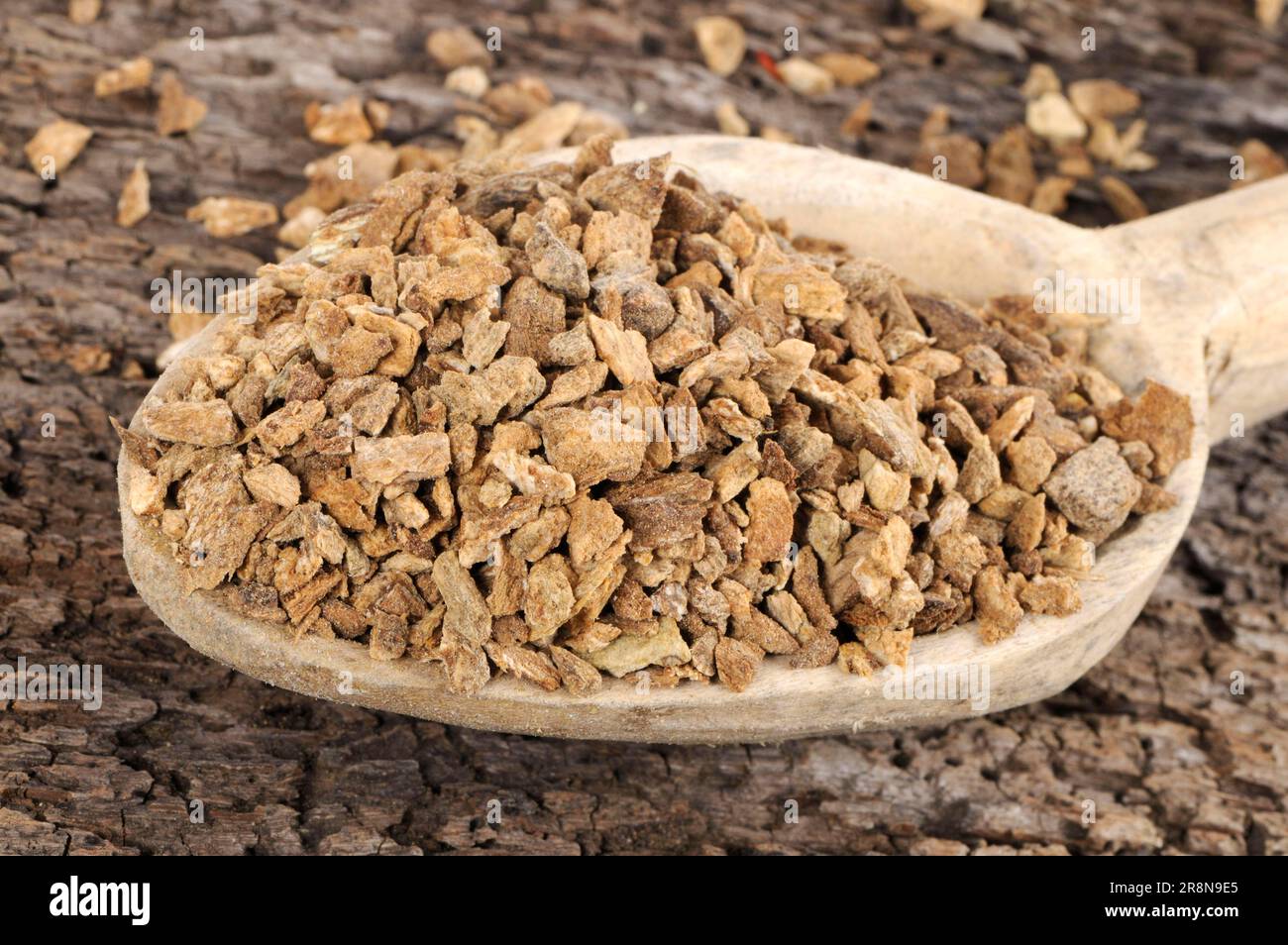 Cup Himalayan embossed root tea (Aucklandiae Radix), Mu Xiang Stock ...