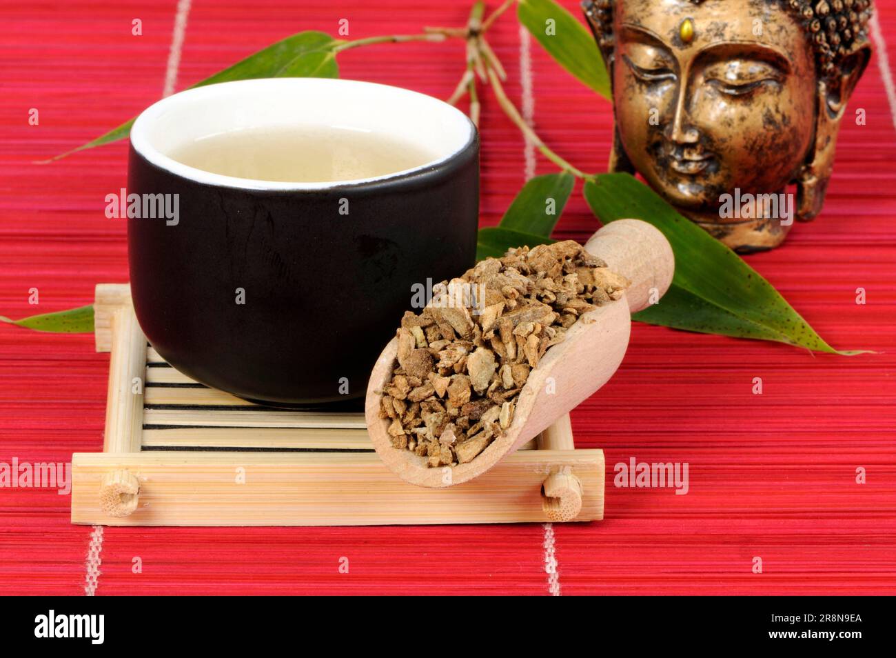 Cup of Himalayan Chardroot Tea (Aucklandiae Radix), Mu Xiang, Himalayan ...