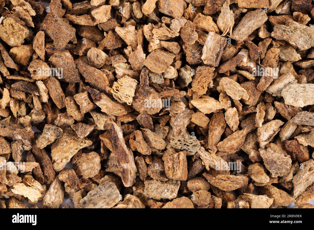 Himalayan crenel root (Aucklandiae Radix), Mu Xiang Stock Photo - Alamy