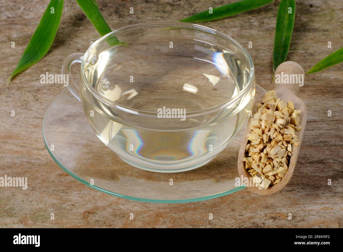 Cup of tea with stems of (Clematis) armandii (Caulis Clematidis ...