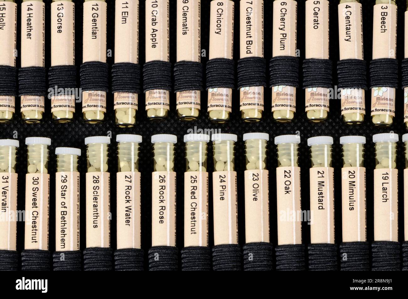 Bach flower globules, Bach flower remedies, Bach flower therapy ...