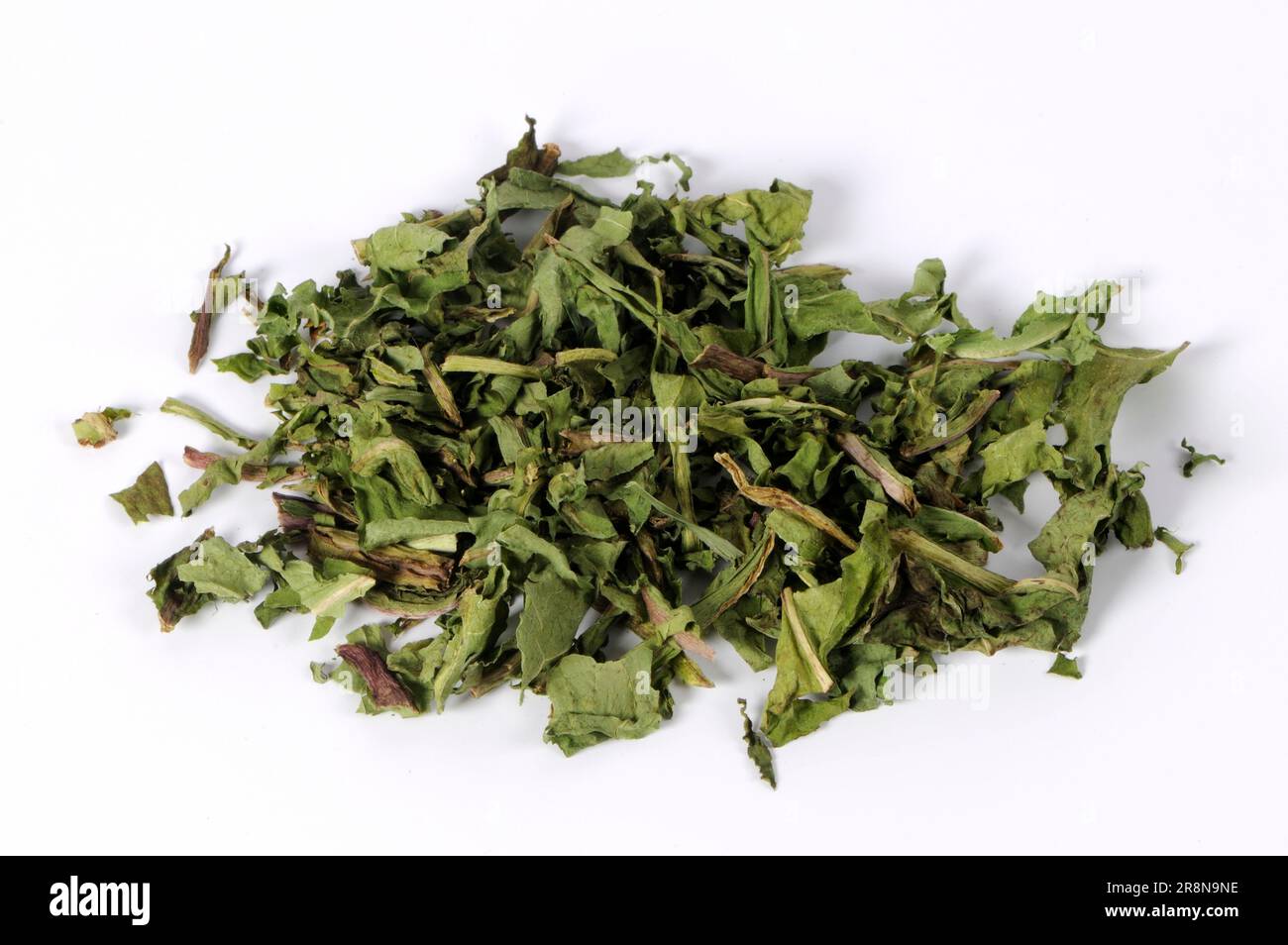Dandelion (Taraxacum officinale), dried leaves, cut out, object Stock ...