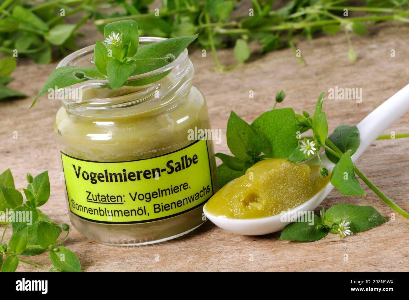 Common Common chickweed (Stellaria media), Common chickweed ointment ...