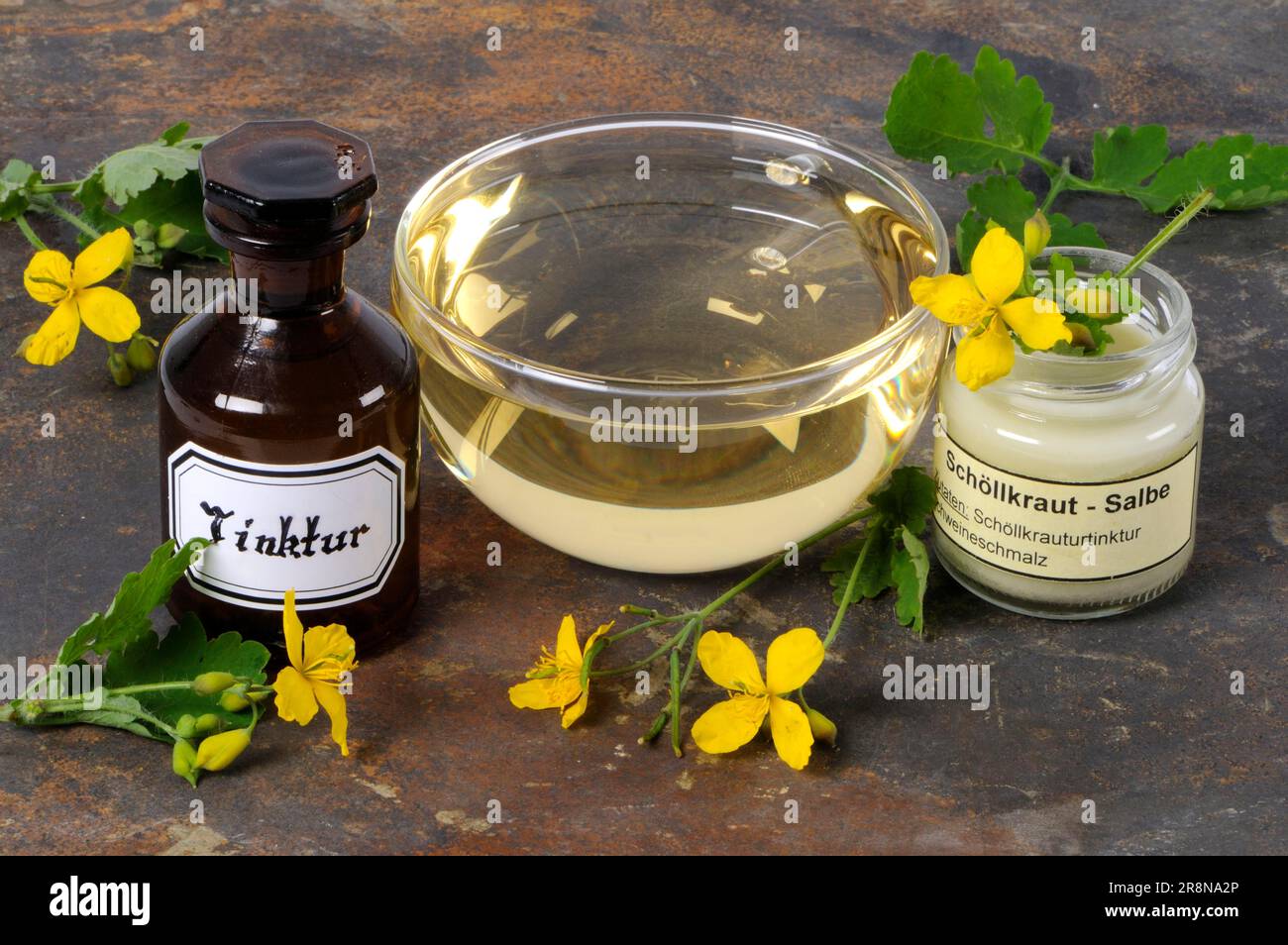 Chelidonium majus ointment (Chelidonium majus majus) Chelidonium majus ...