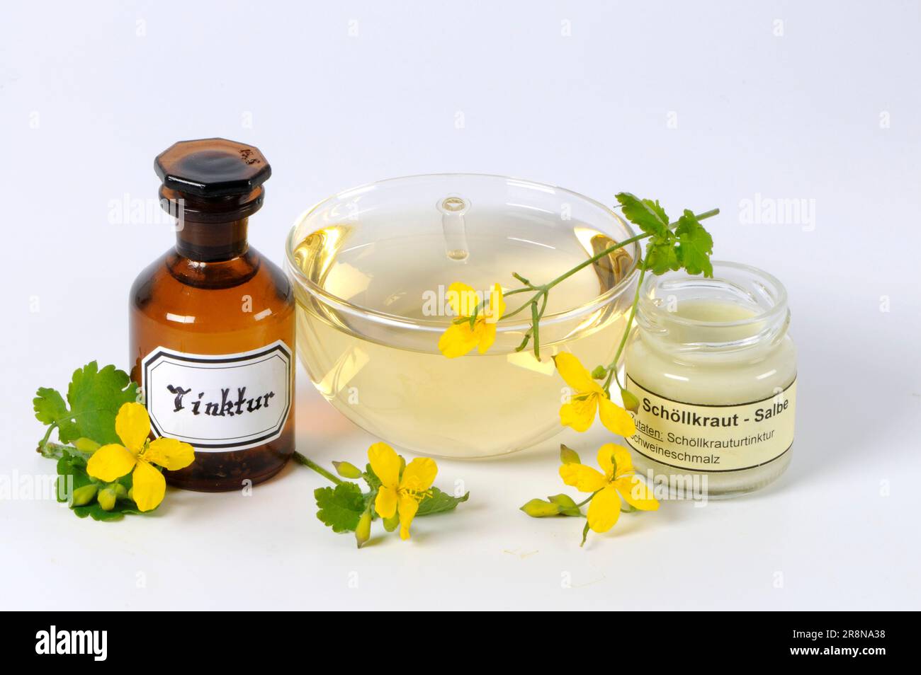 Chelidonium majus ointment (Chelidonium majus majus) Chelidonium majus ...