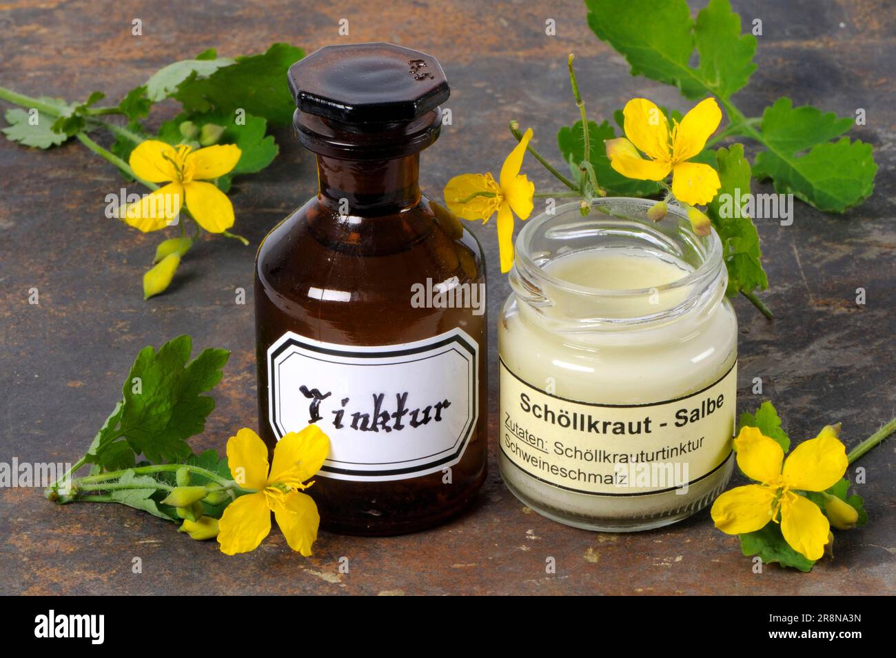 Chelidonium majus ointment (Chelidonium majus majus) and celandine ...