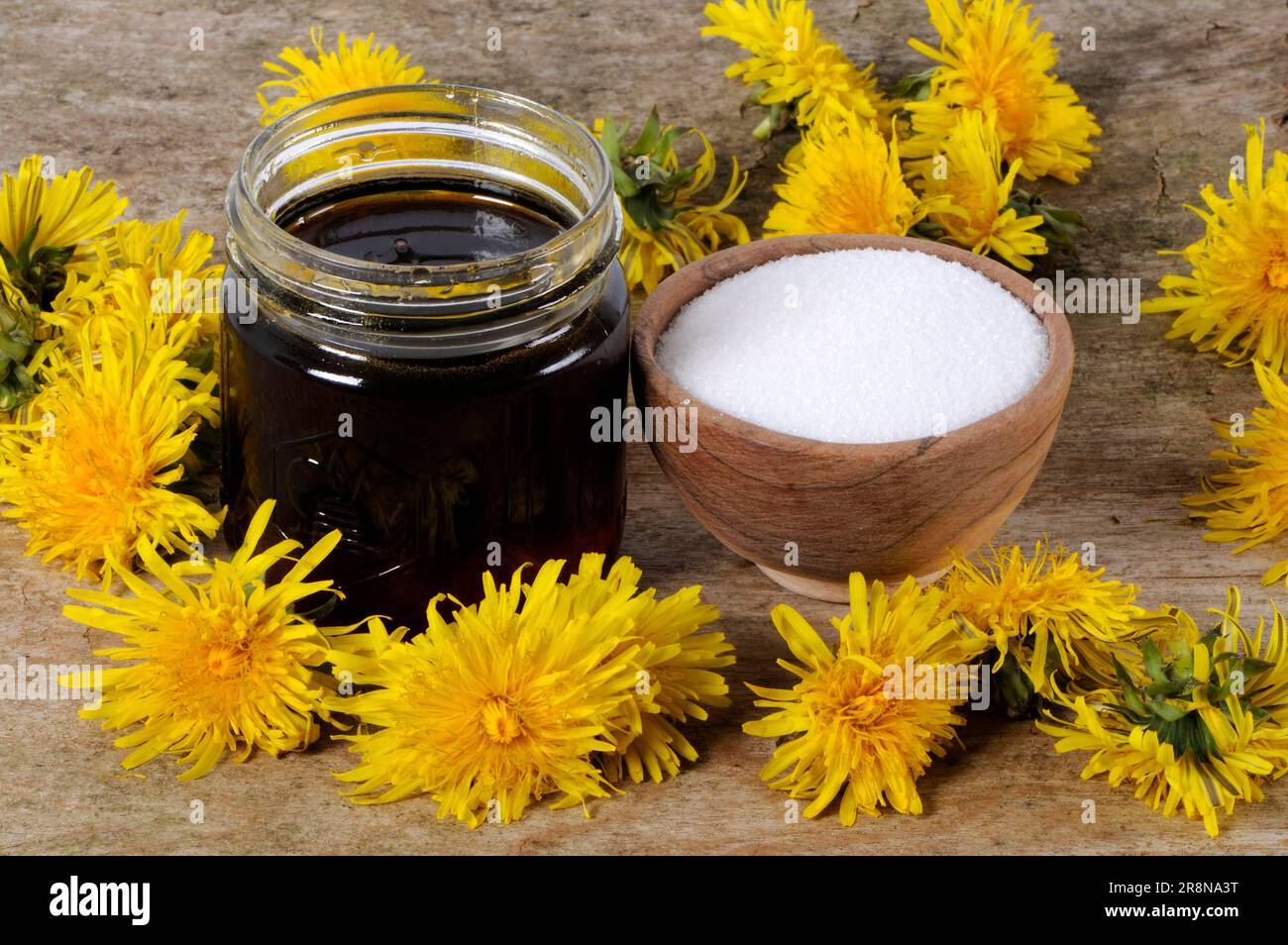 Production of dandelion syrup (Taraxacum officinale) (Taraxacum vulgare ...