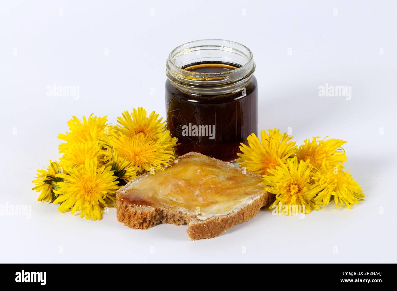 Slice of bread with dandelion syrup (Taraxacum officinale) (Taraxacum ...