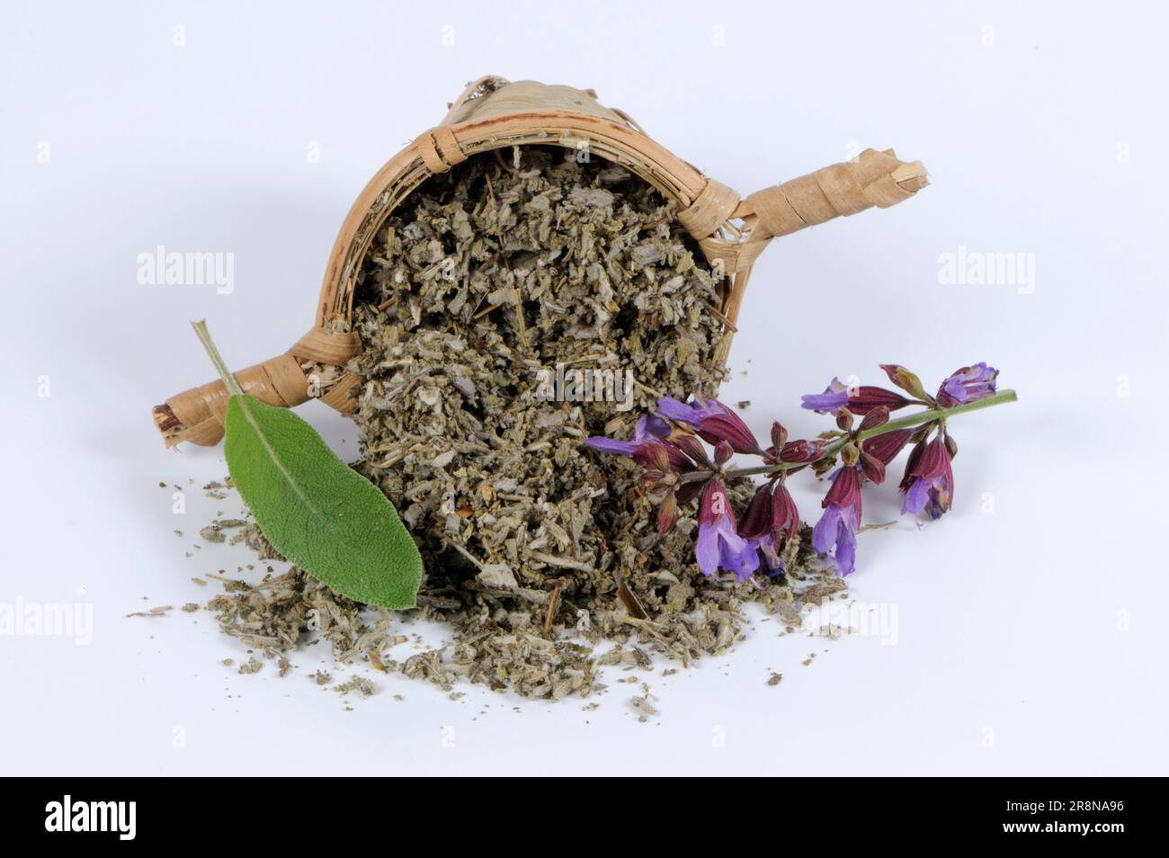 Real Common sage (Salvia officinalis), dried Stock Photo - Alamy