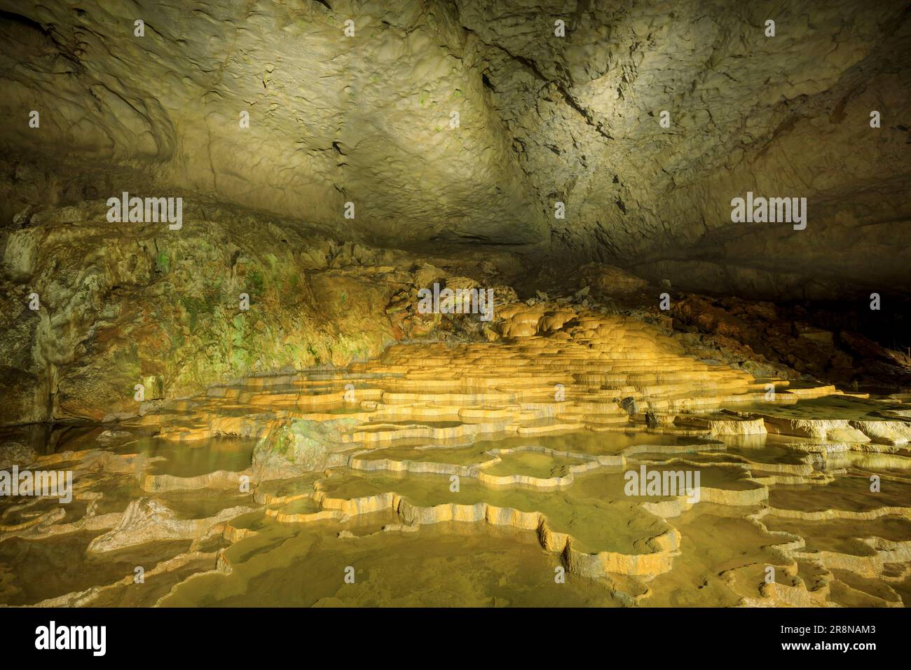 Akiyoshi hi-res stock photography and images - Alamy