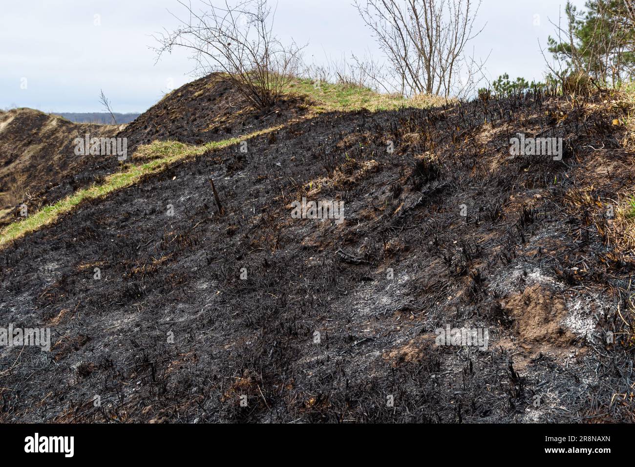 Burnt floor flame hi-res stock photography and images - Alamy