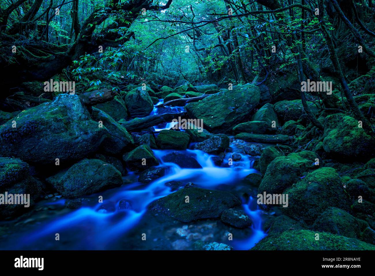 Shiratani Unsui Gorge at dawn Stock Photo - Alamy