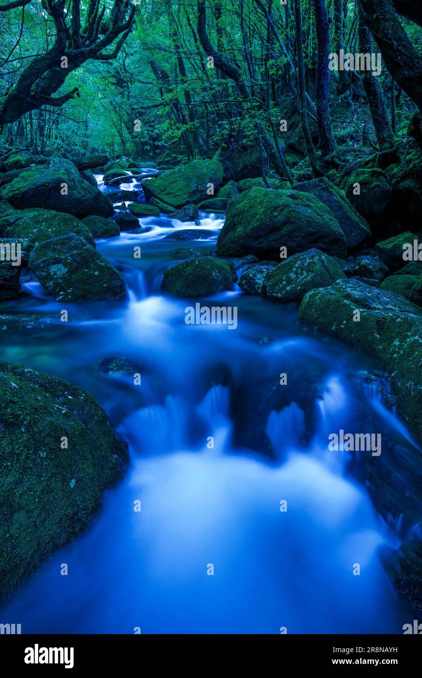Shiratani Unsui Gorge at dawn Stock Photo - Alamy