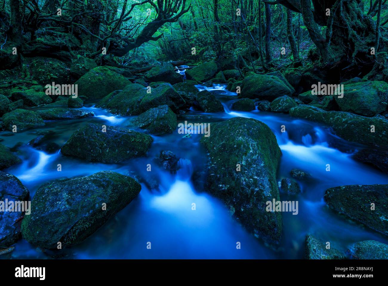 Shiratani Unsui Gorge at dawn Stock Photo - Alamy