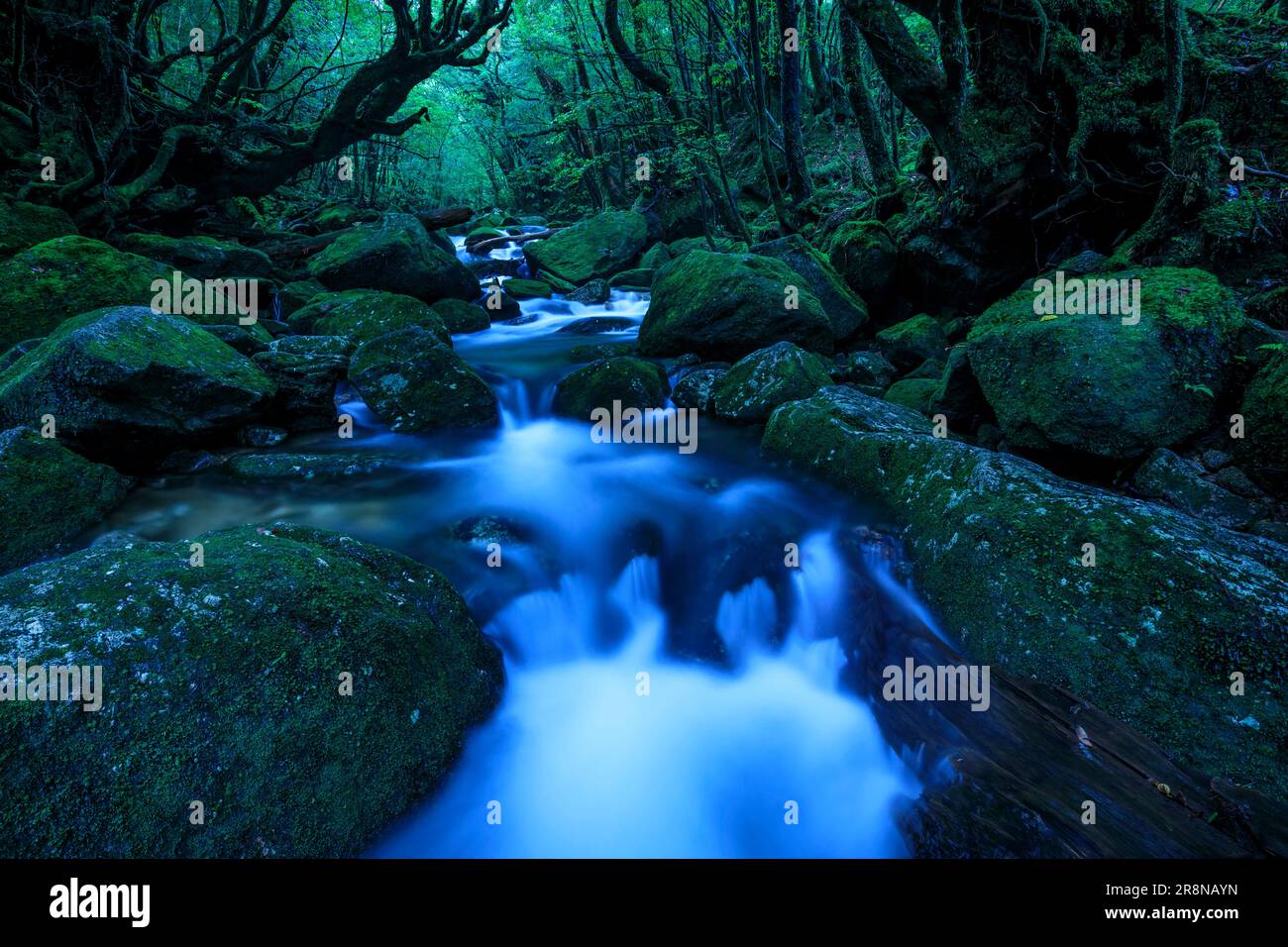Shiratani Unsui Gorge at dawn Stock Photo - Alamy