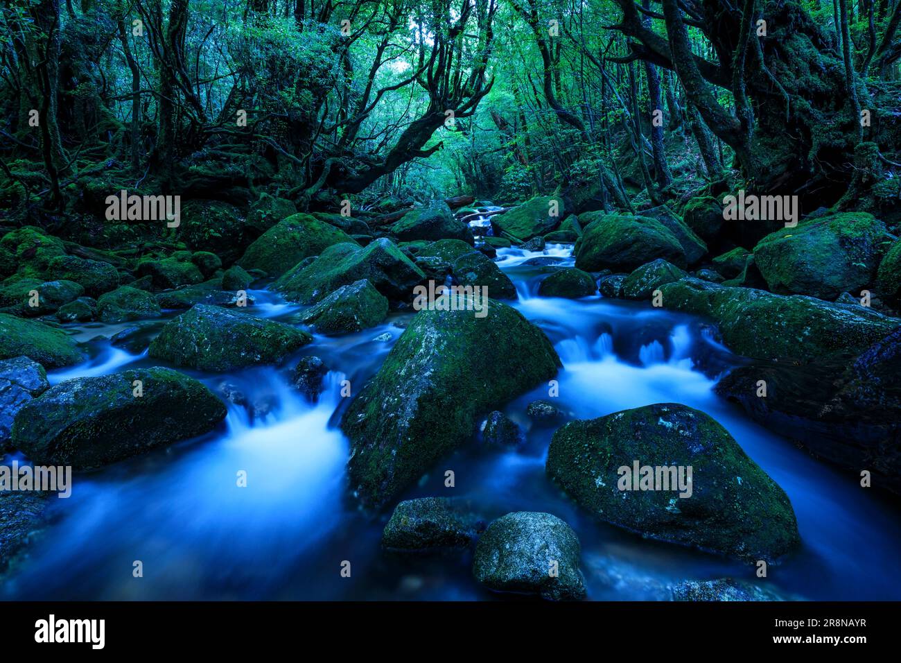 Shiratani Unsui Gorge at dawn Stock Photo - Alamy