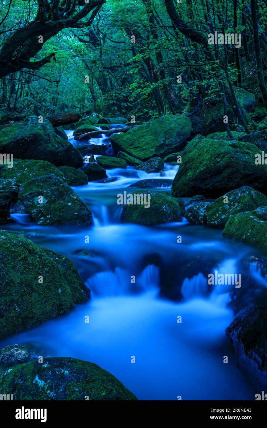 Shiratani Unsui Gorge at dawn Stock Photo - Alamy