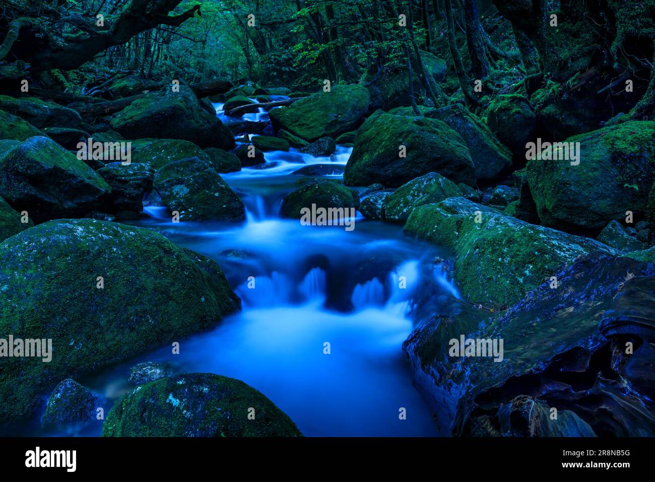 Shiratani Unsui Gorge at dawn Stock Photo - Alamy