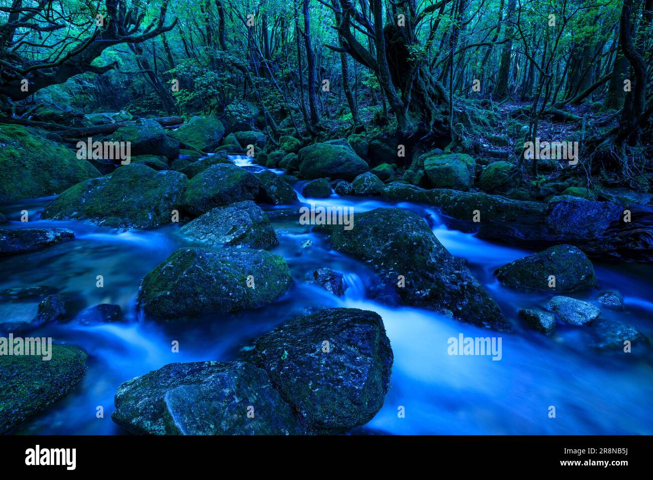 Shiratani Unsui Gorge at dawn Stock Photo - Alamy