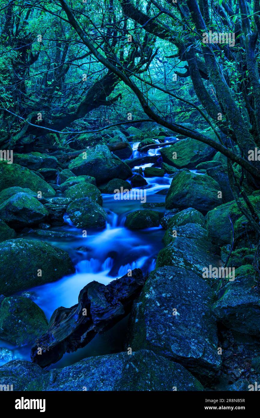 Shiratani Unsui Gorge at dawn Stock Photo - Alamy