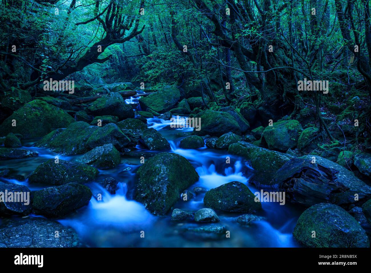 Shiratani Unsui Gorge at dawn Stock Photo - Alamy