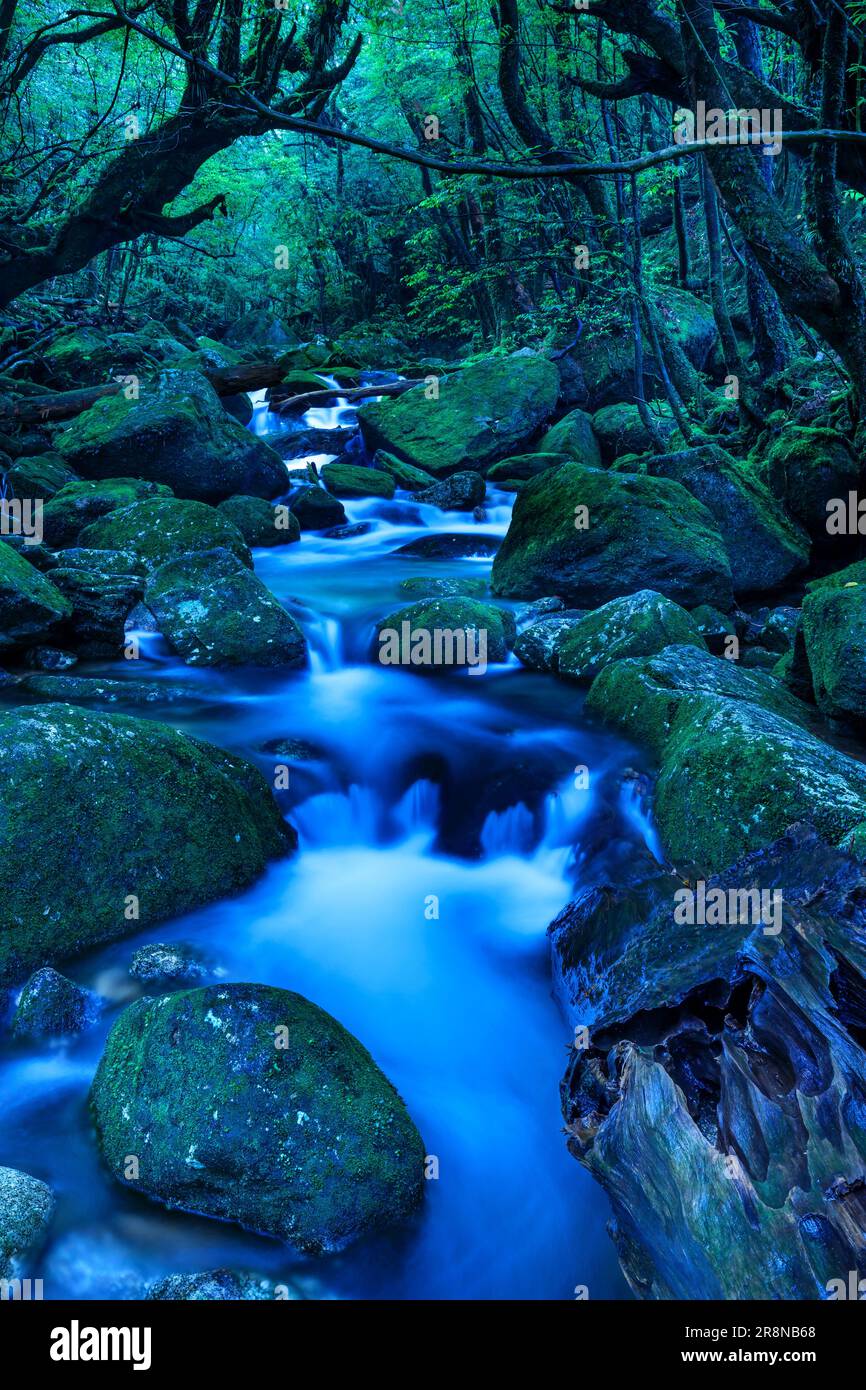 Shiratani Unsui Gorge at dawn Stock Photo - Alamy