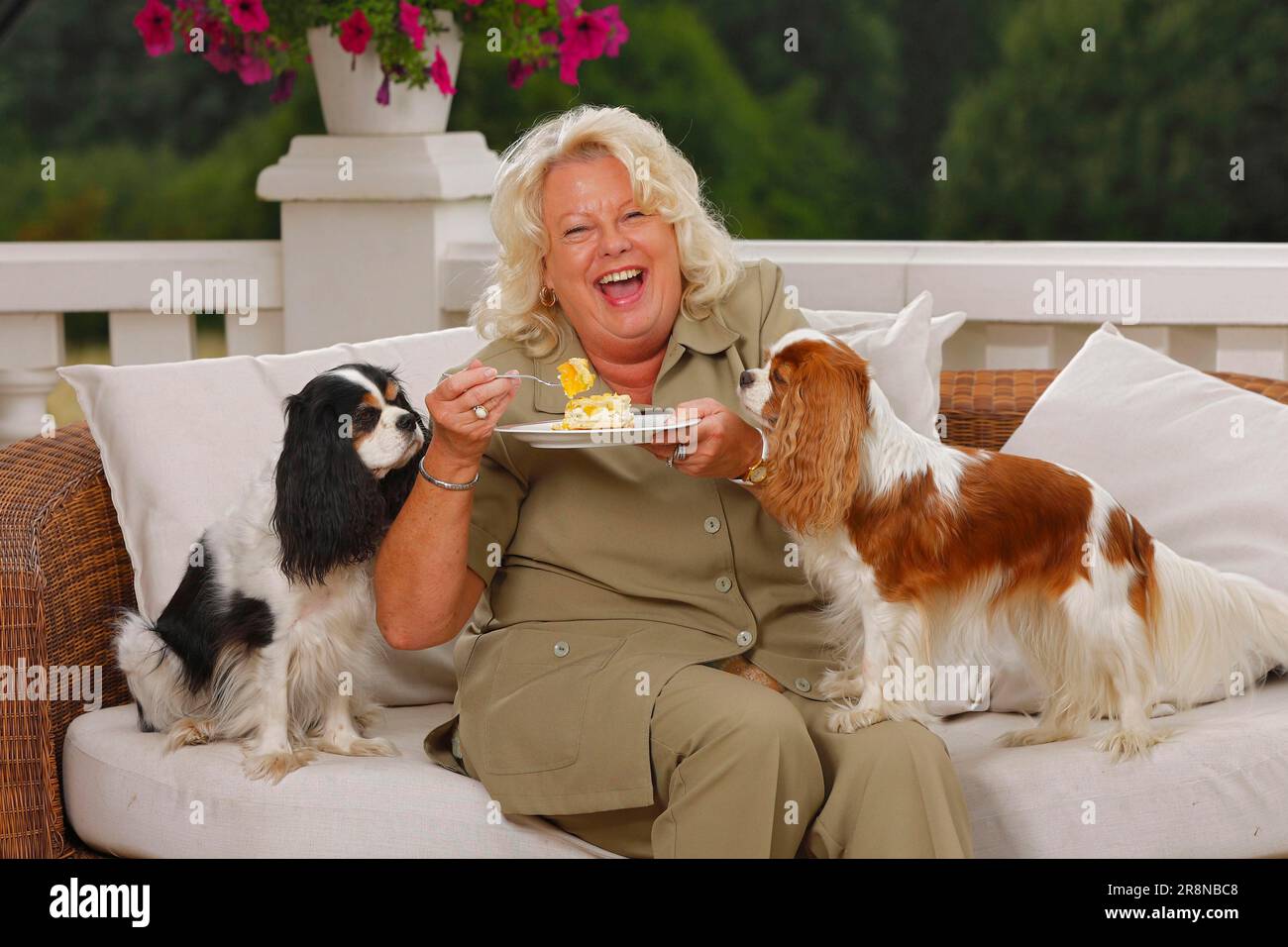 Wife and Cavalier King Charles Spaniel, tricolour and Blenheim, eating ...