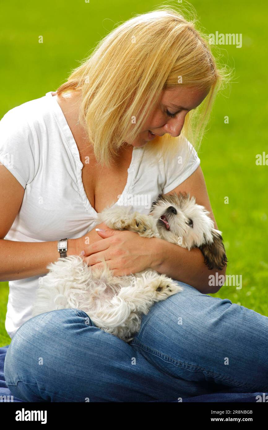Puppy on lap hi-res stock photography and images - Alamy