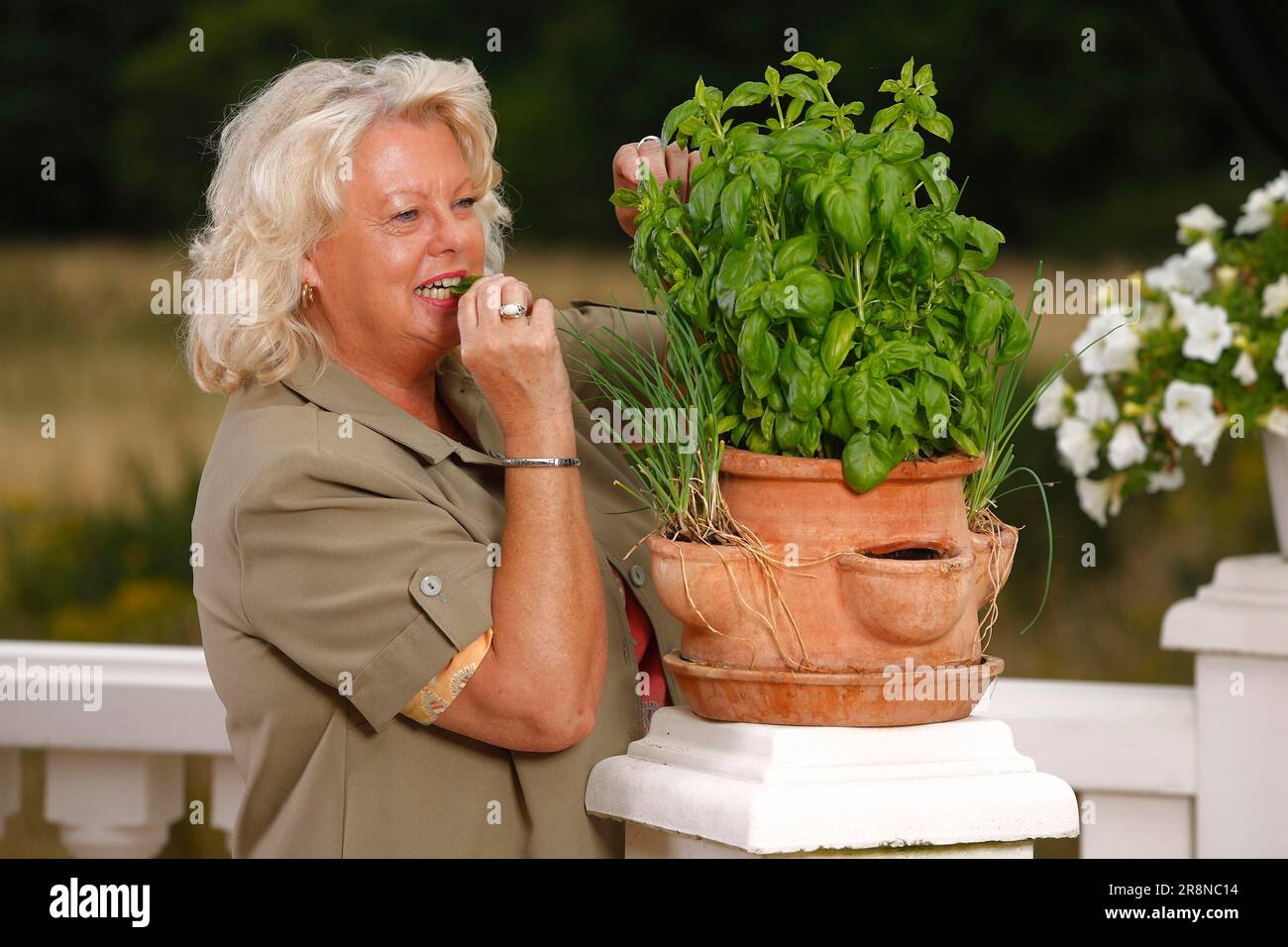 Try pot hi-res stock photography and images - Alamy
