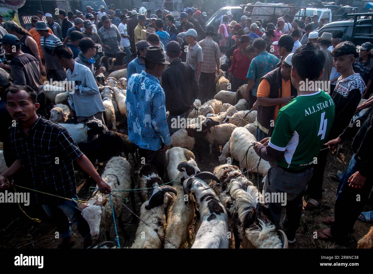 The Jonggol Animal Market in Bogor Regency, the largest livestock ...