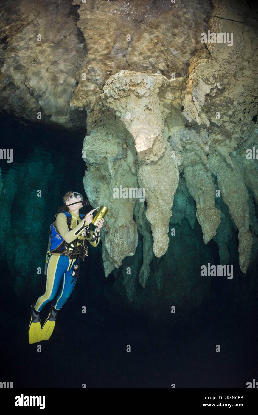 Divers in Chandelier Cave, underwater stalactite cave, Palau ...