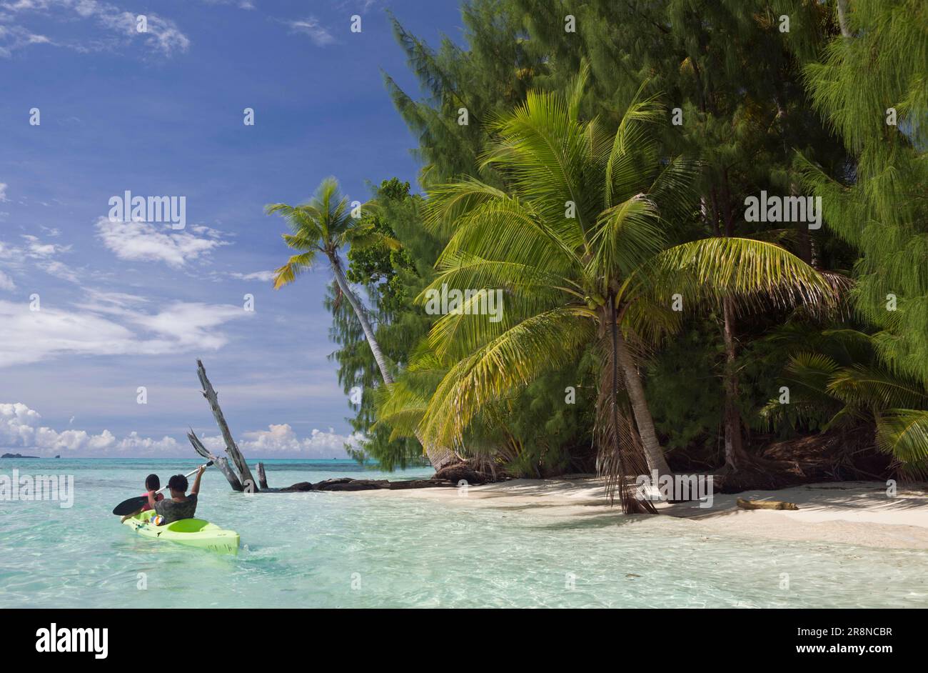 Kayak, Palau, Pacific, Micronesia Stock Photo - Alamy