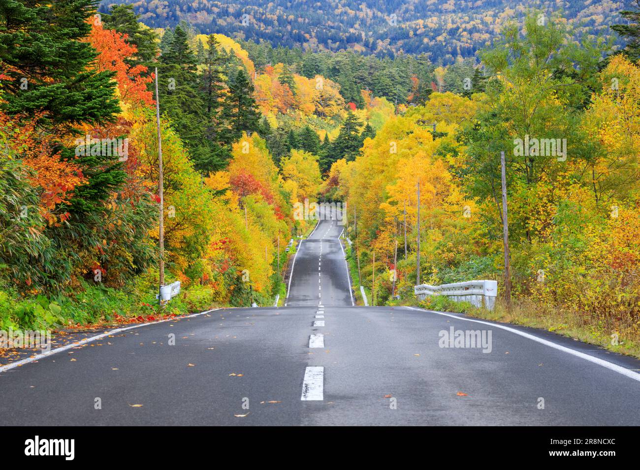 Hachimantai Jukai Line Stock Photo - Alamy
