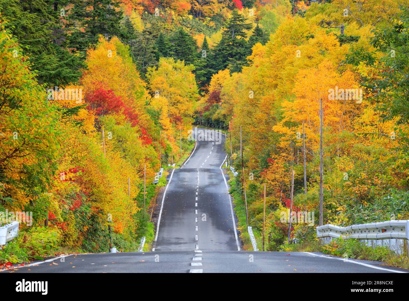 Hachimantai Jukai Line Stock Photo - Alamy