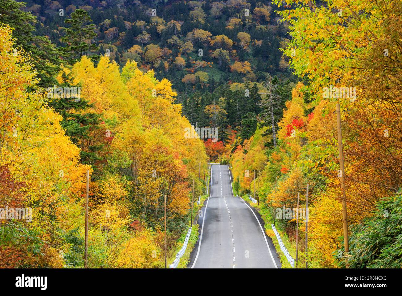 Hachimantai Jukai Line Stock Photo - Alamy