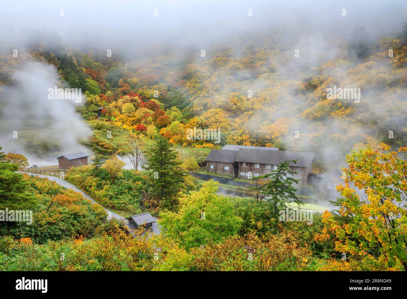 Autumn leaves of Tamagawa Onsen Stock Photo - Alamy