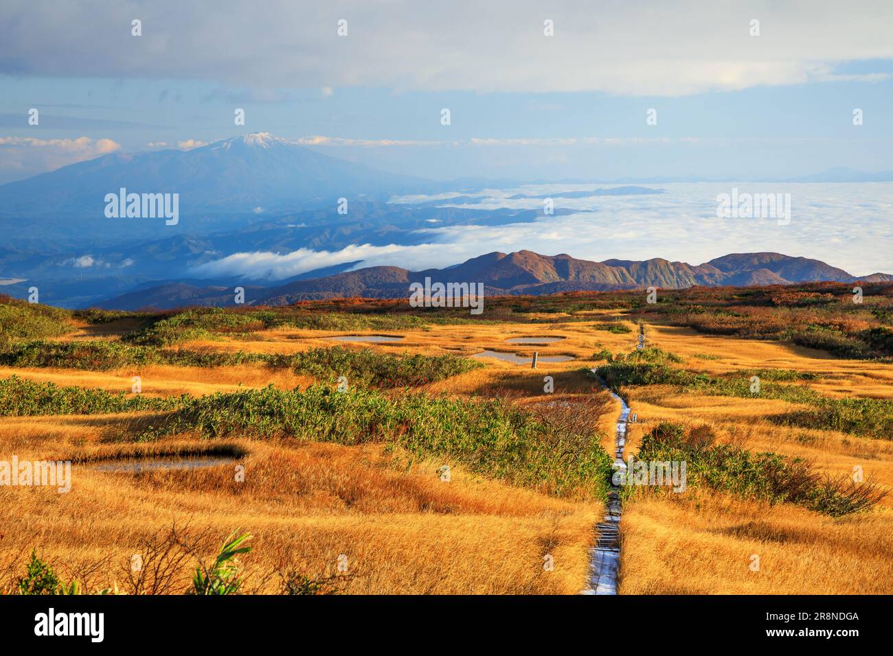 Midagahara Marsh and Mt. Chokaisan in the Morning Sun Stock Photo - Alamy