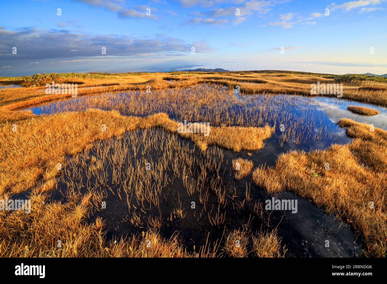 Gassan midagahara hi-res stock photography and images - Alamy