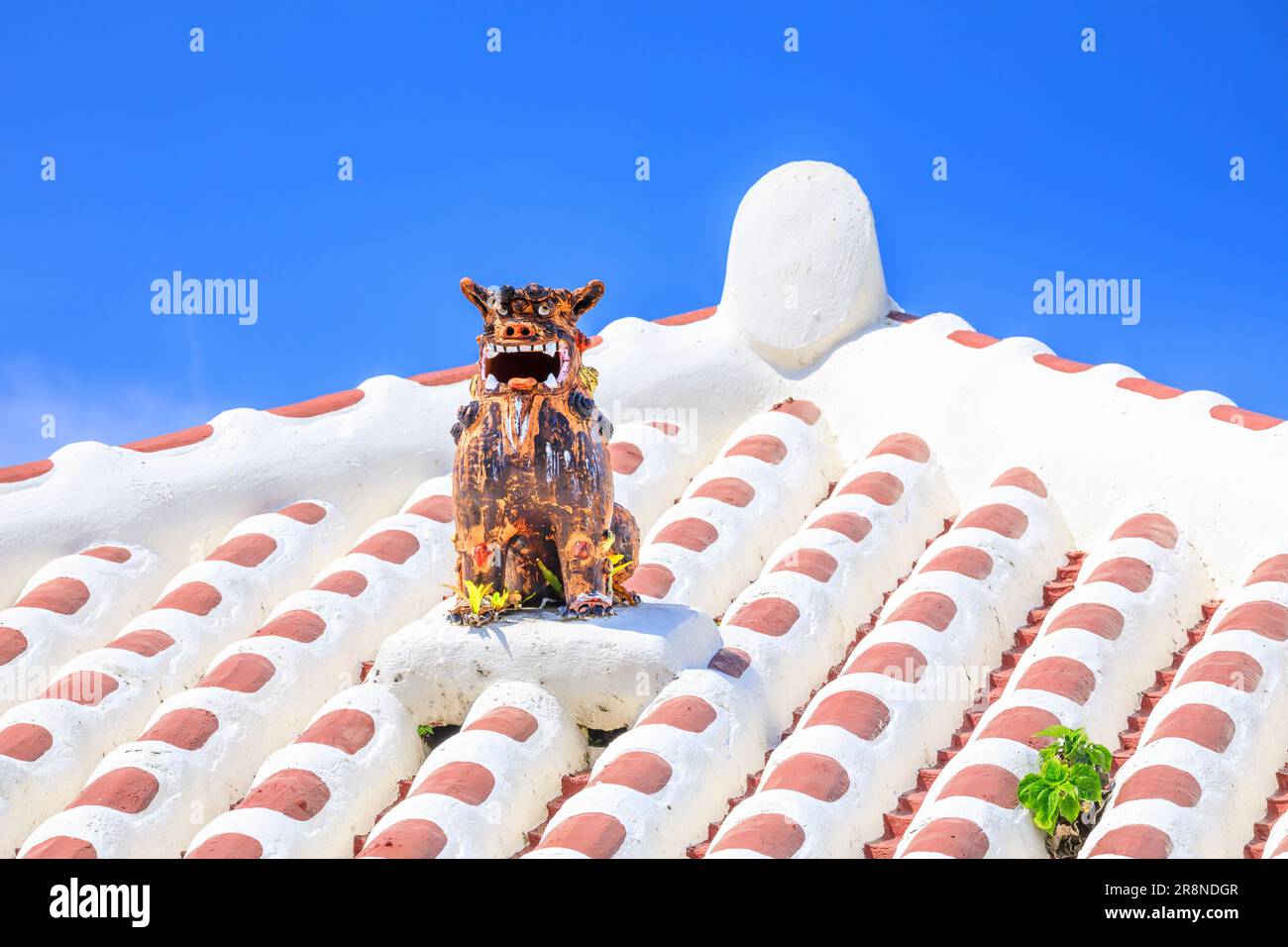 Shisa japan okinawa hi-res stock photography and images - Alamy